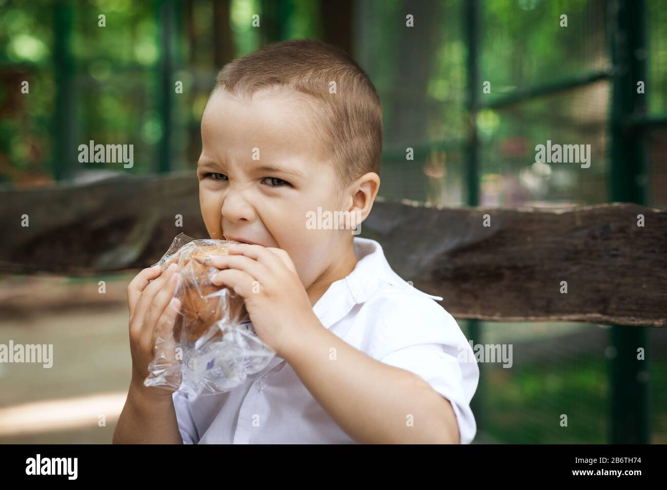 small boy eating a bun Stock Photo - Alamy