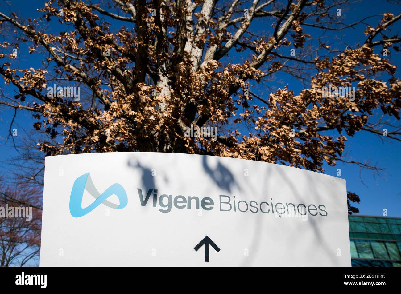 Vigene hi-res stock photography and images - Alamy
