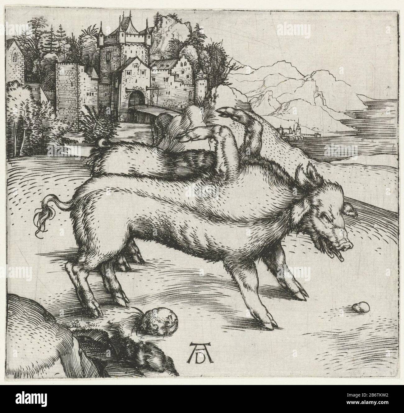 Het misvormde zwijn Het wonderbaarlijke zwijn van Landsher A boar that ...