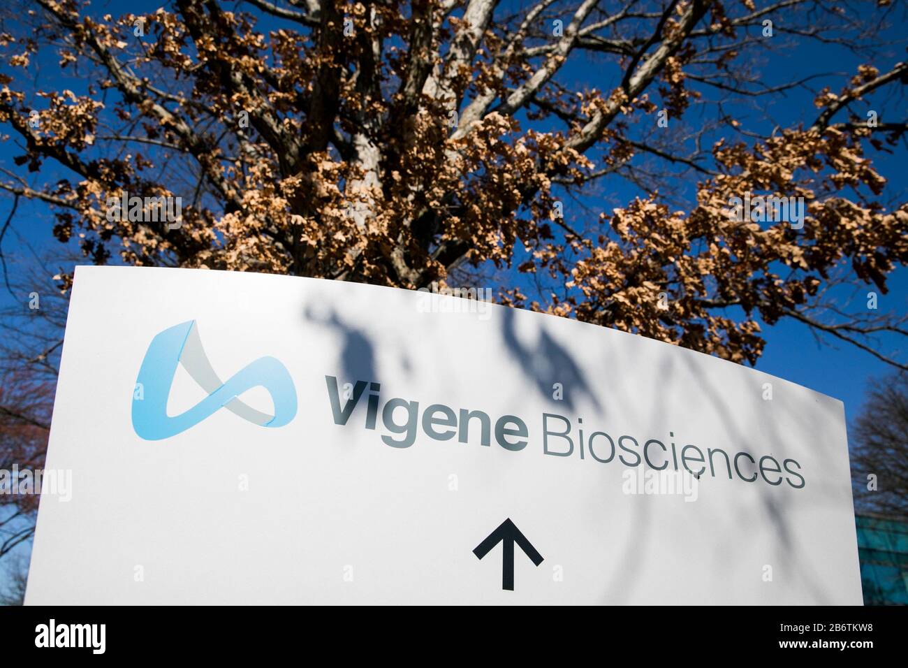 A logo sign outside of the headquarters of Vigene Biosciences in ...