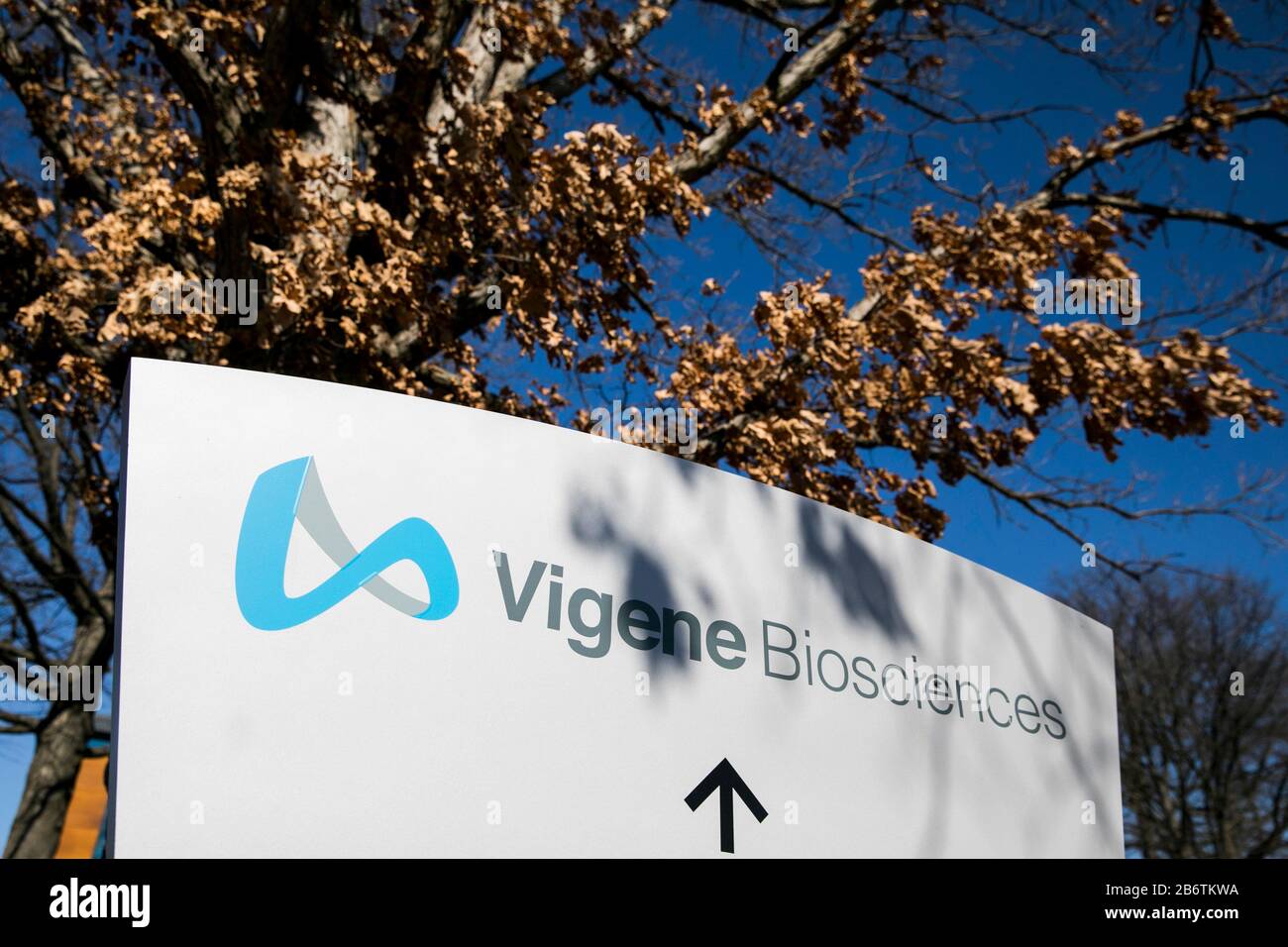 A logo sign outside of the headquarters of Vigene Biosciences in ...