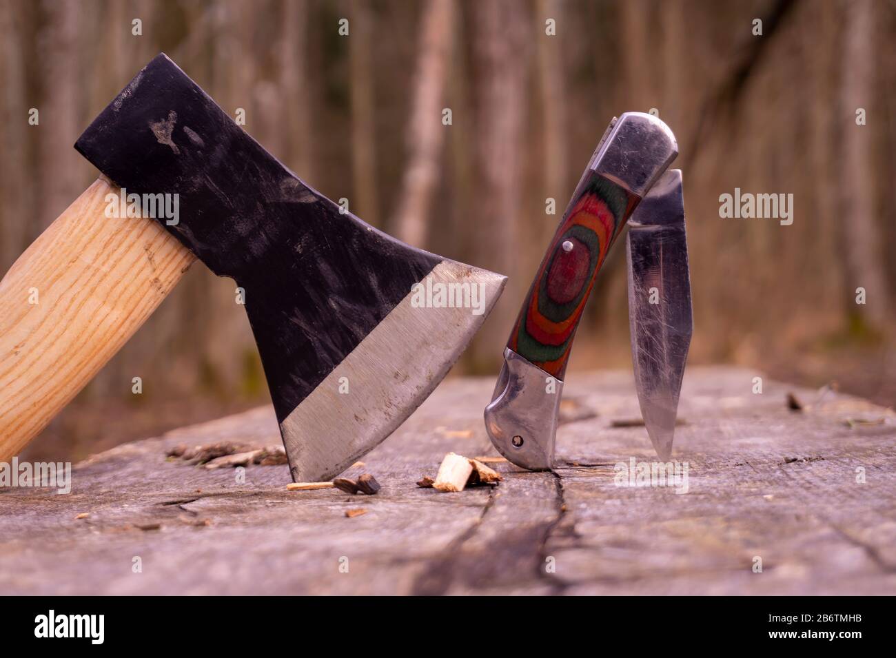 Hatchet or ax and folding pocket knife stuck upright in a tree stump ...