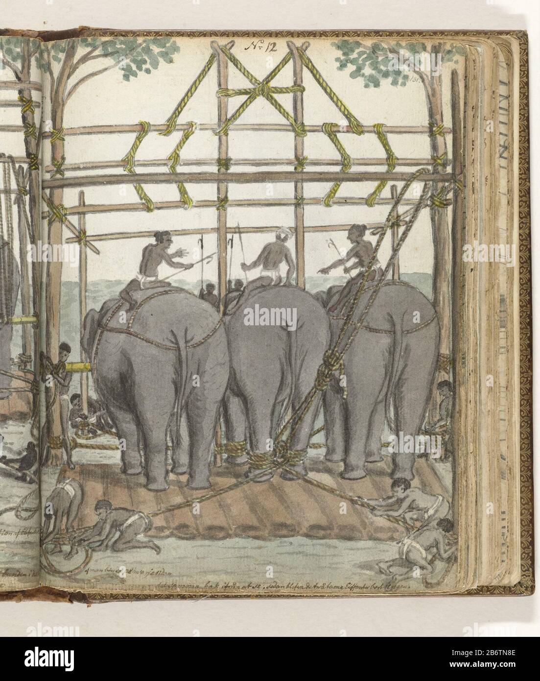 Elephant Back View Drawing