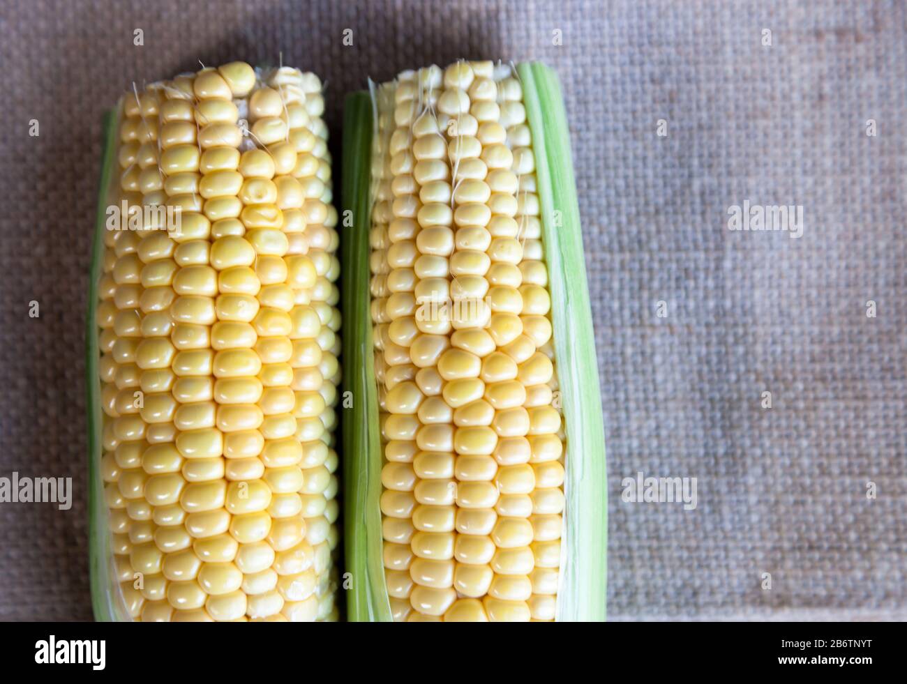 Fresh corn fruits with green leaves isolated .,An ear of corn isolated ...