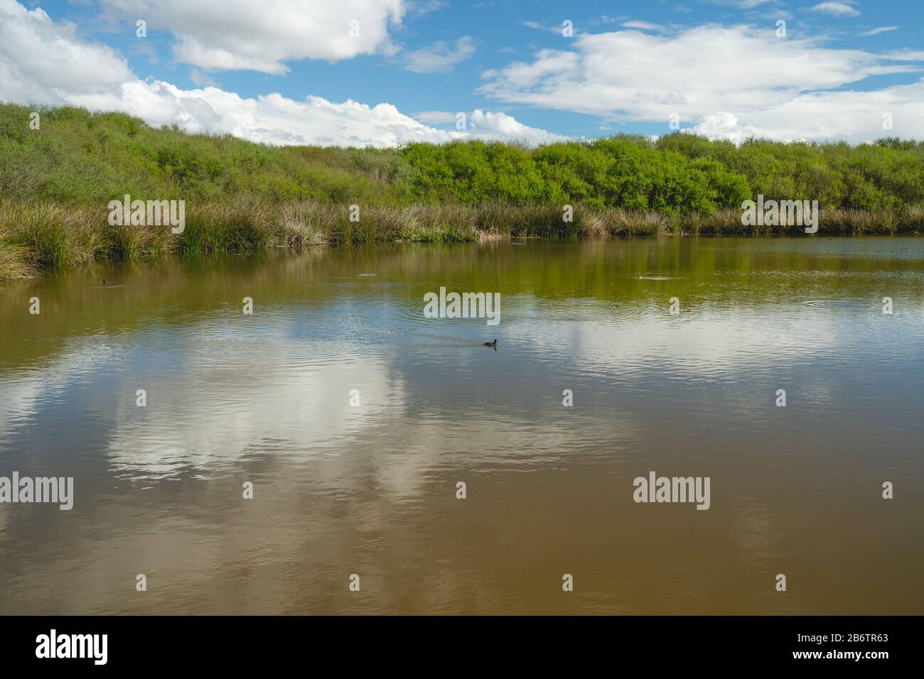 Oso flaco lake a california state park hi-res stock photography and ...