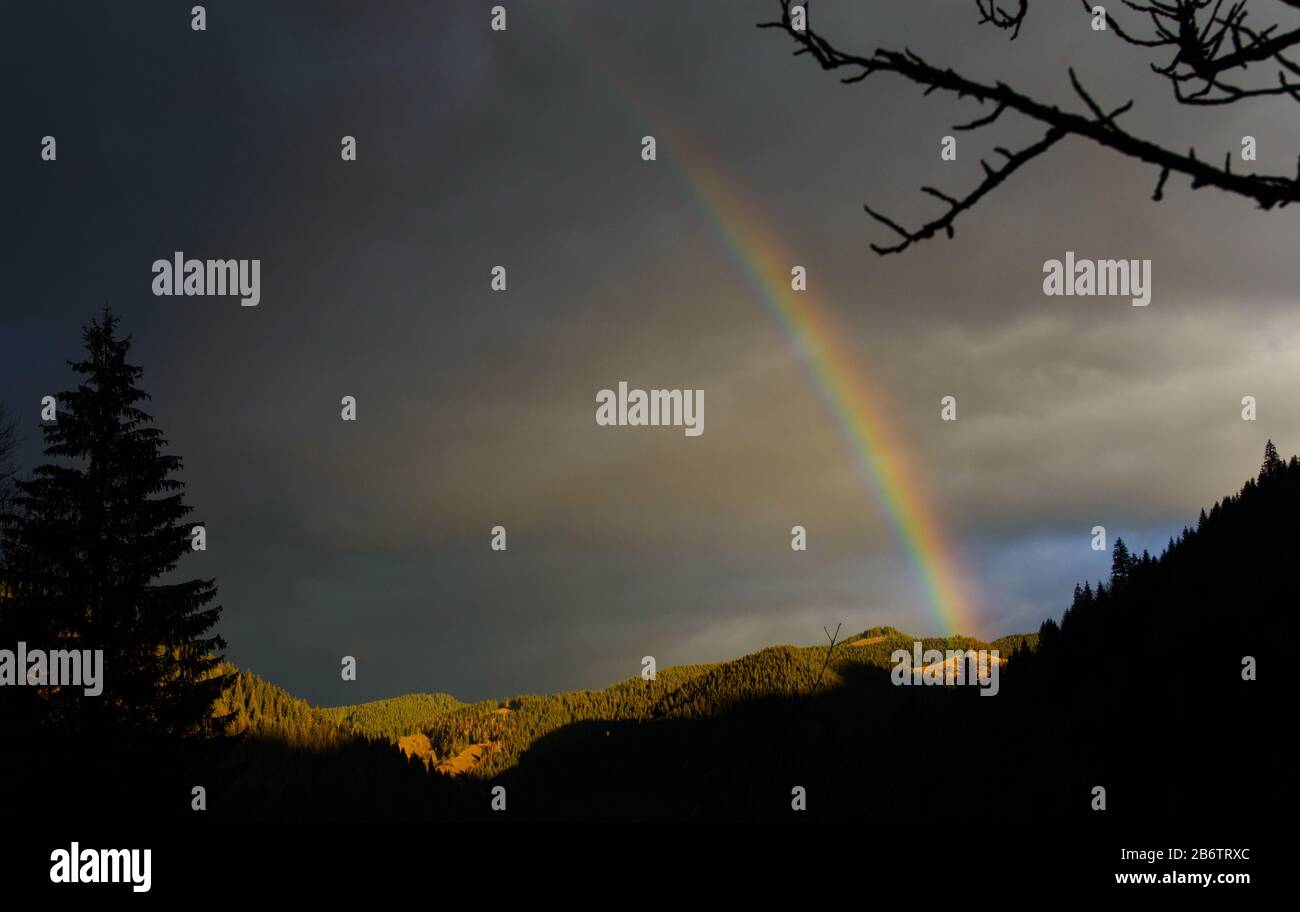 Sunlit tree and rainbow hi-res stock photography and images - Alamy