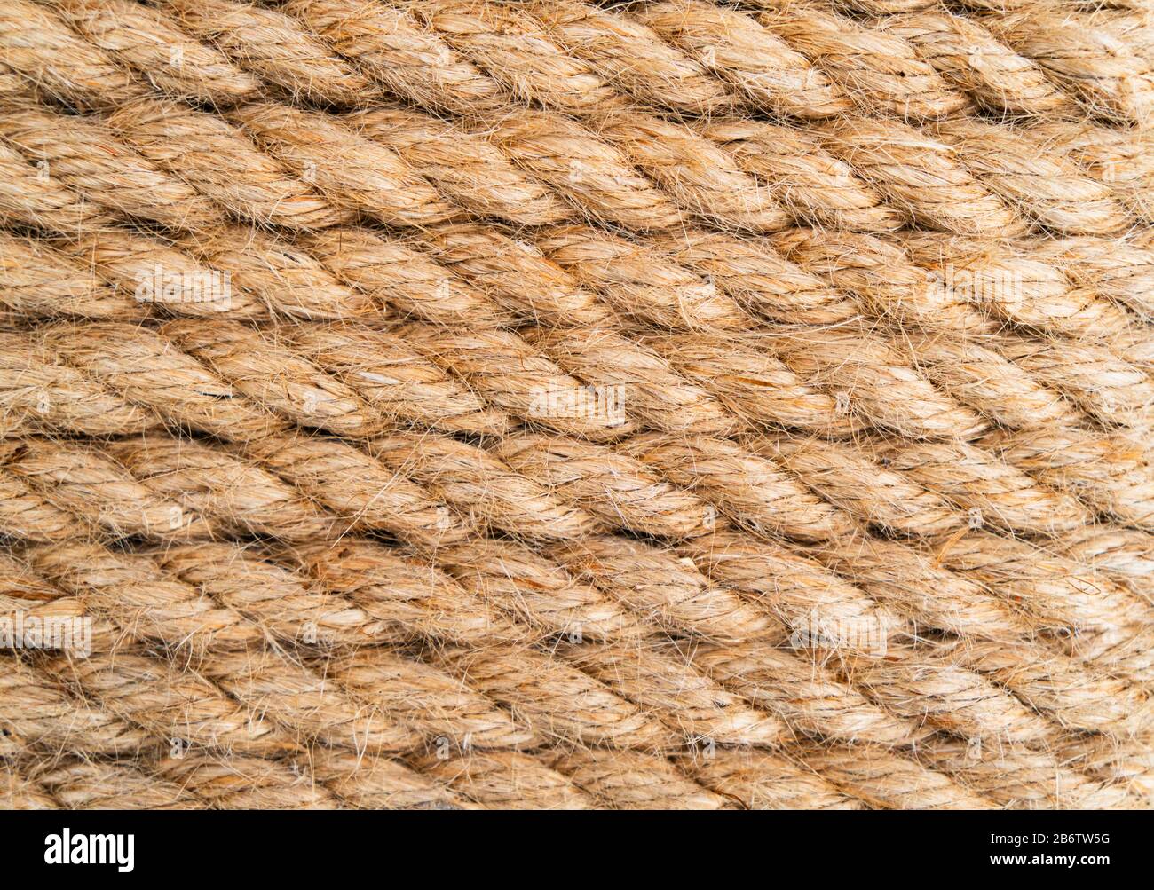 Seamless Rope Texture