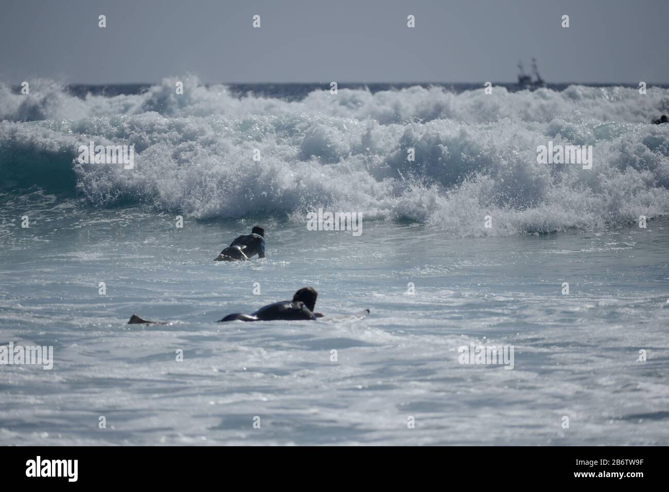 Huge Wave Surfer Hawaii High Resolution Stock Photography and Images ...