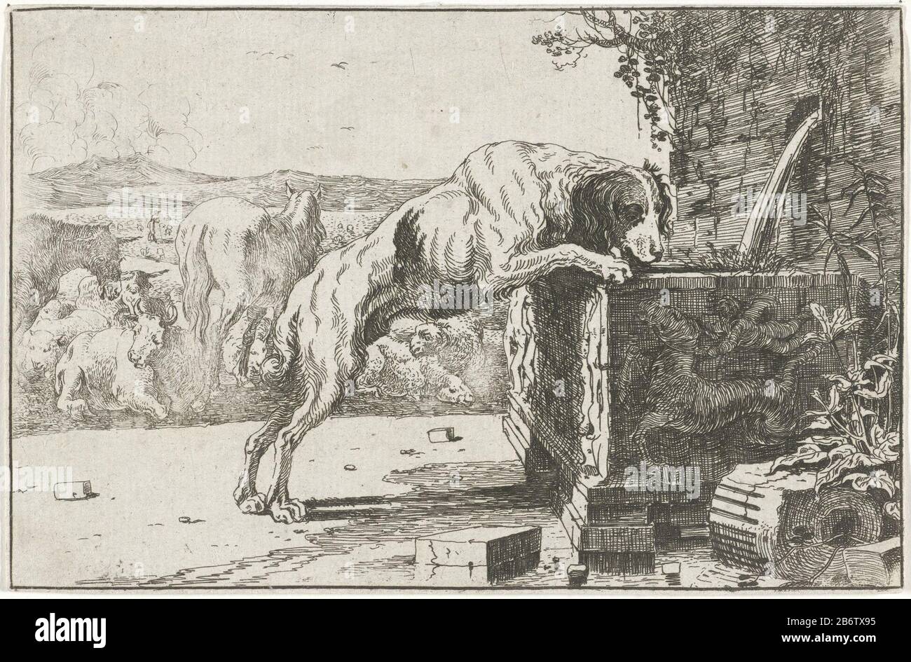 Donkey well hi-res stock photography and images - Alamy