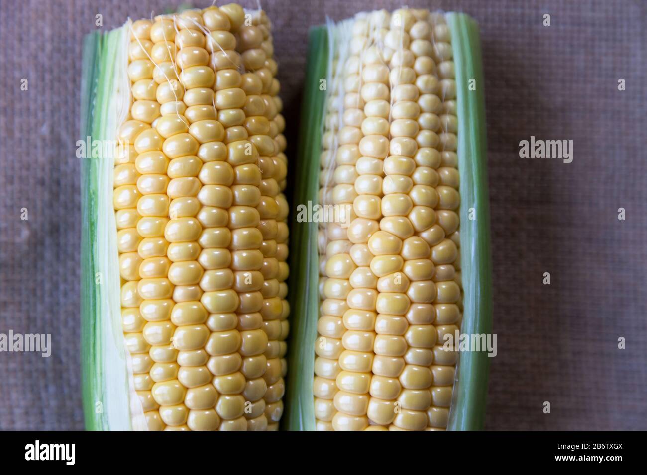Fresh corn fruits with green leaves isolated .,An ear of corn isolated ...