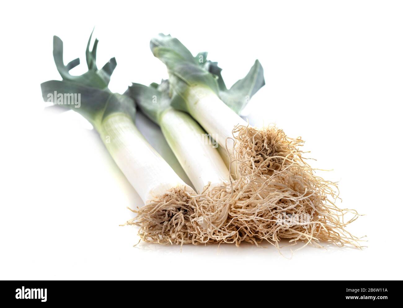 fresh leek in front of white background Stock Photo - Alamy