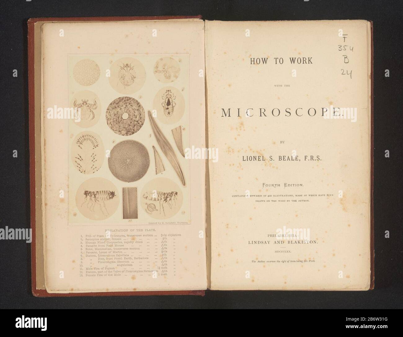 Cardboard microscope hi-res stock photography and images - Alamy