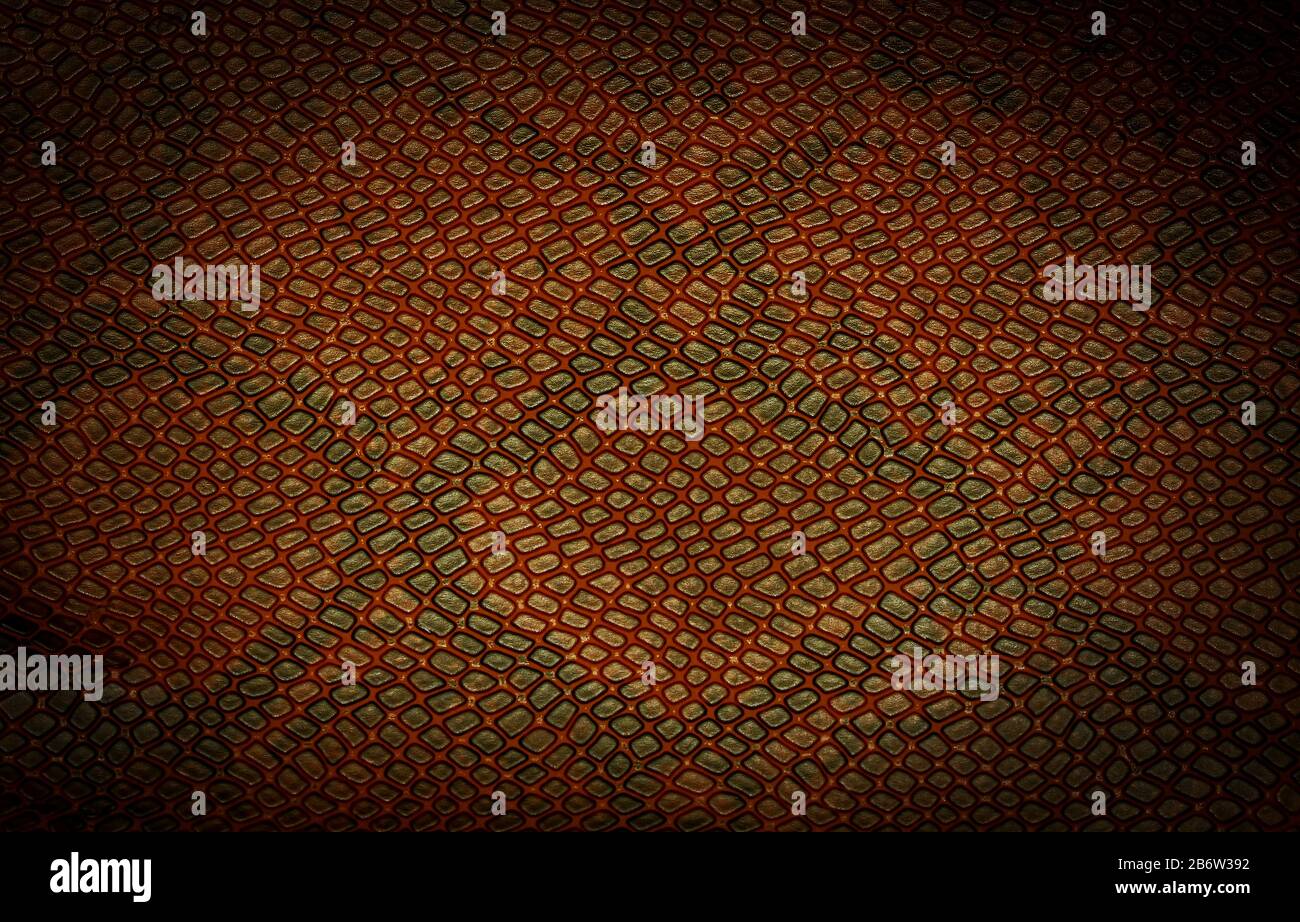 Snake skin texture hi-res stock photography and images - Alamy