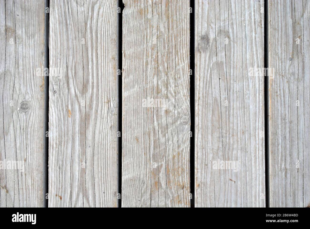 Close up peel tree background isolated Stock Photo - Alamy