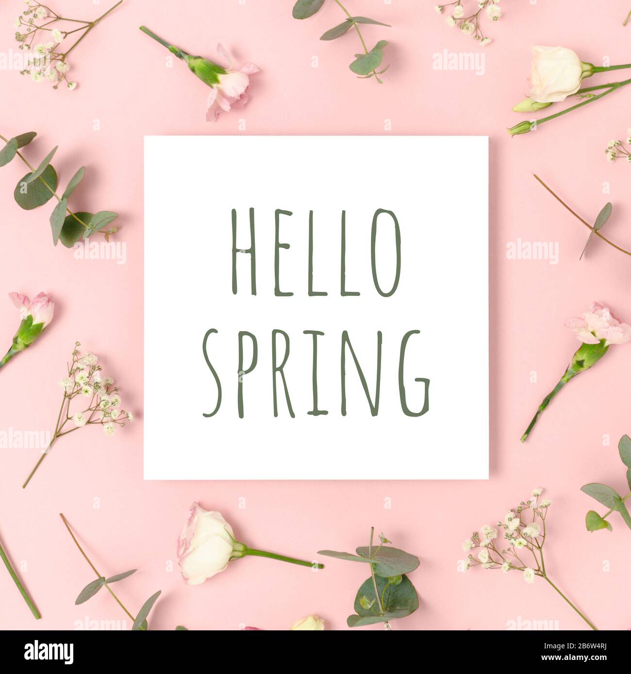 Quote Hello spring. Floral pattern on a pink background Stock Photo - Alamy