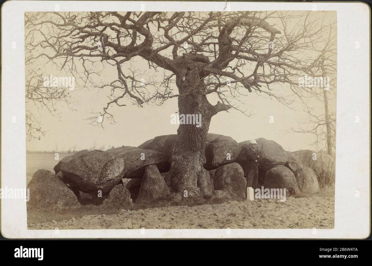 Eikeboom hi-res stock photography and images - Alamy