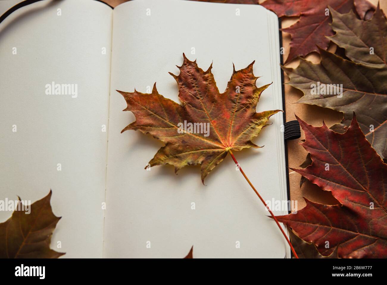 Notebook leaf hi-res stock photography and images - Alamy