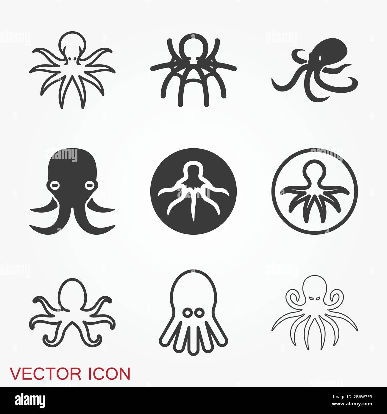 Octopus icon. Vector of an octopus design on white background. Aquatic ...