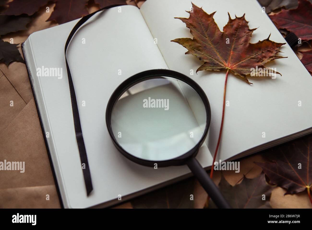 Maple leaf and notepad Stock Photo - Alamy