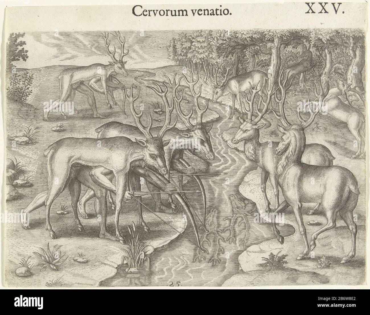 Venatio cervorum hi-res stock photography and images - Alamy