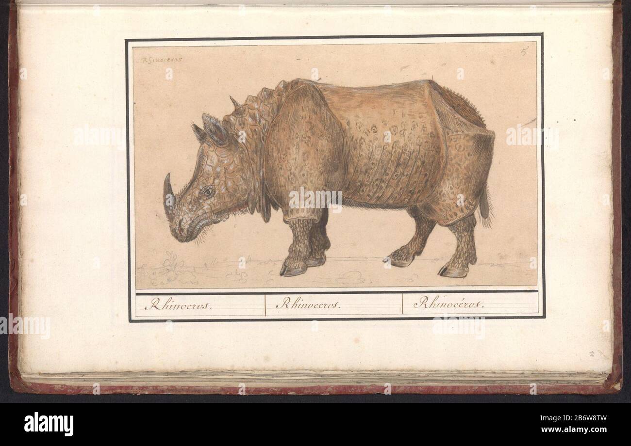 Famous Rhino Painting