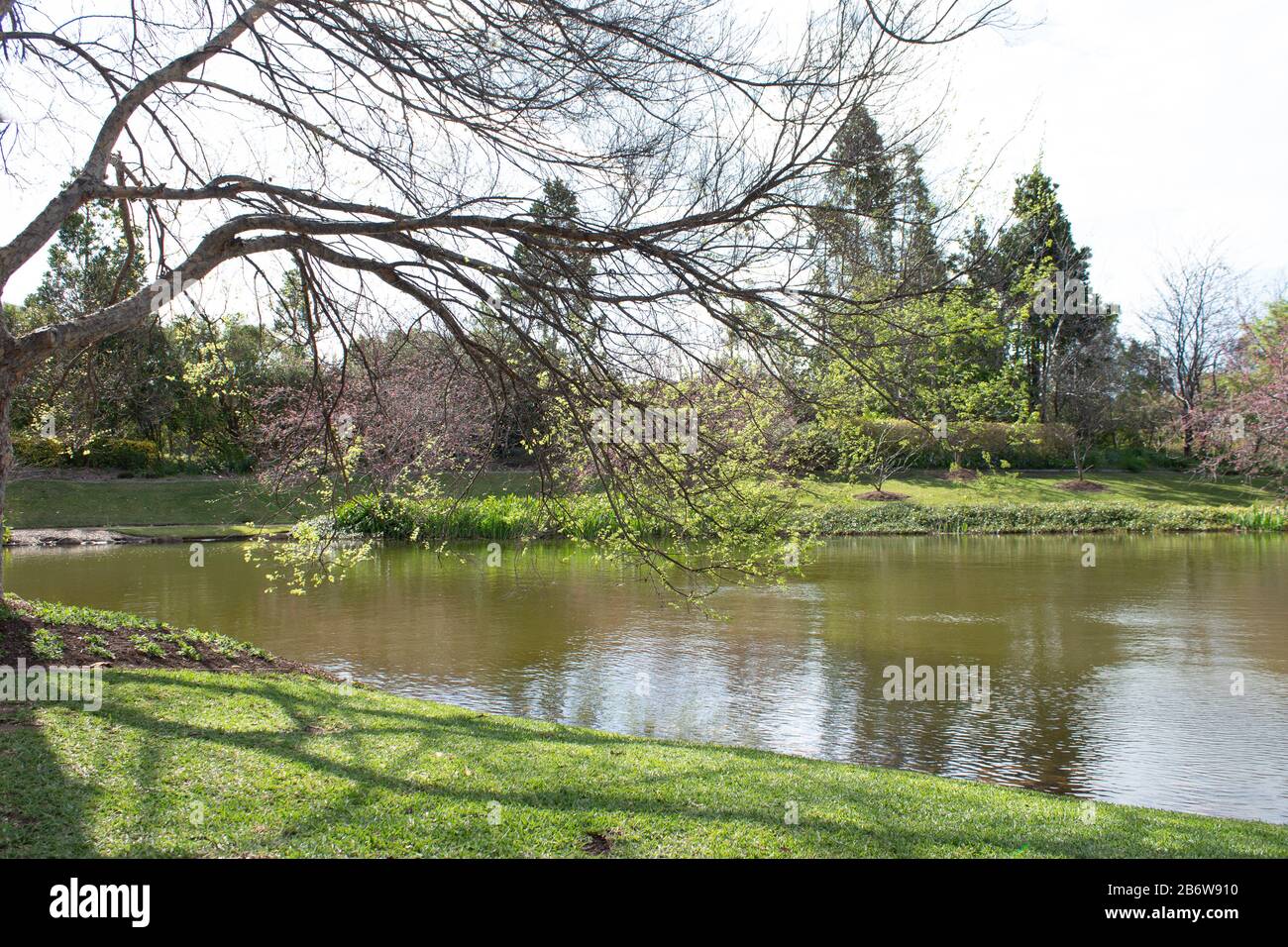 Pond surrounded by trees hi-res stock photography and images - Alamy