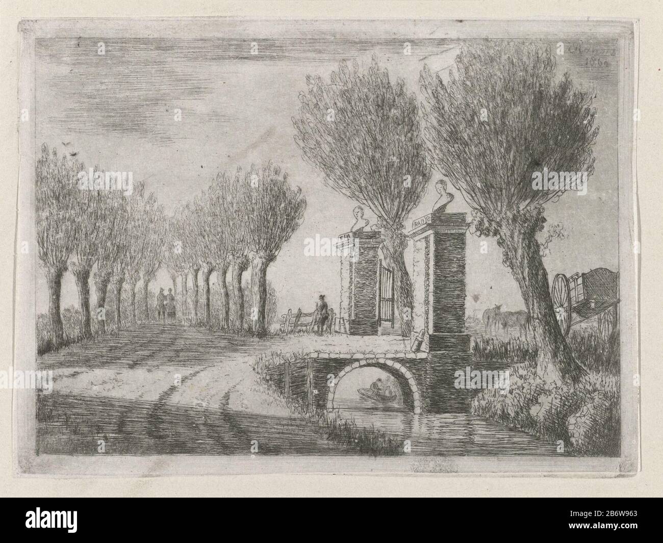 Two tone cows hi-res stock photography and images - Alamy