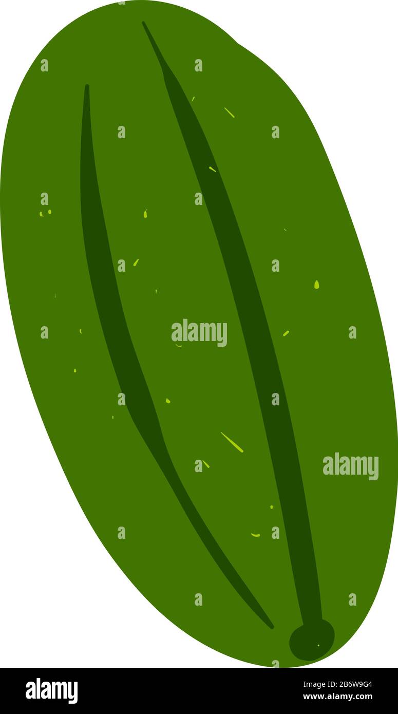 Cucumber flat, illustration, vector on white background Stock Vector ...