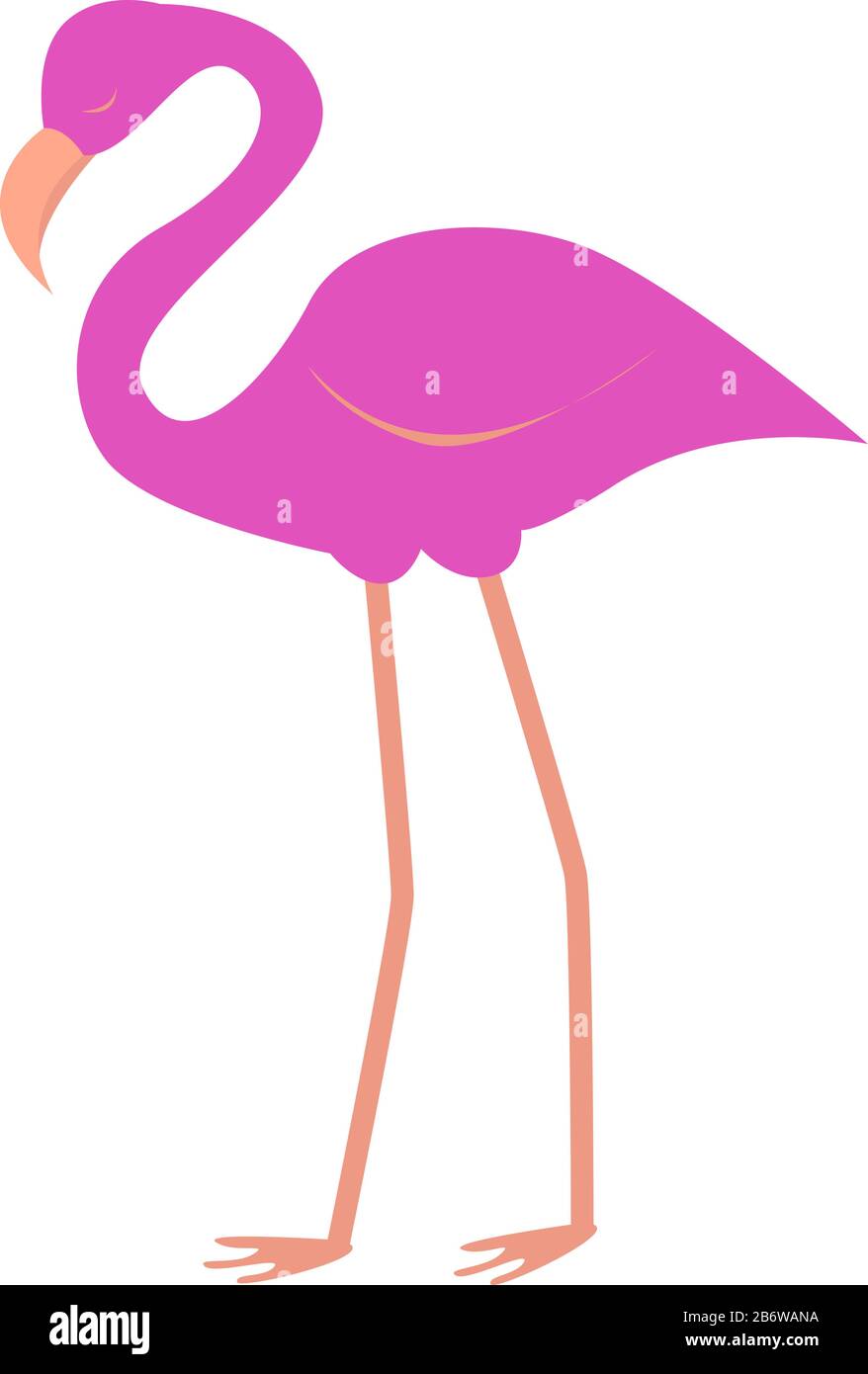 Pink flamingo, illustration, vector on white background Stock Vector ...