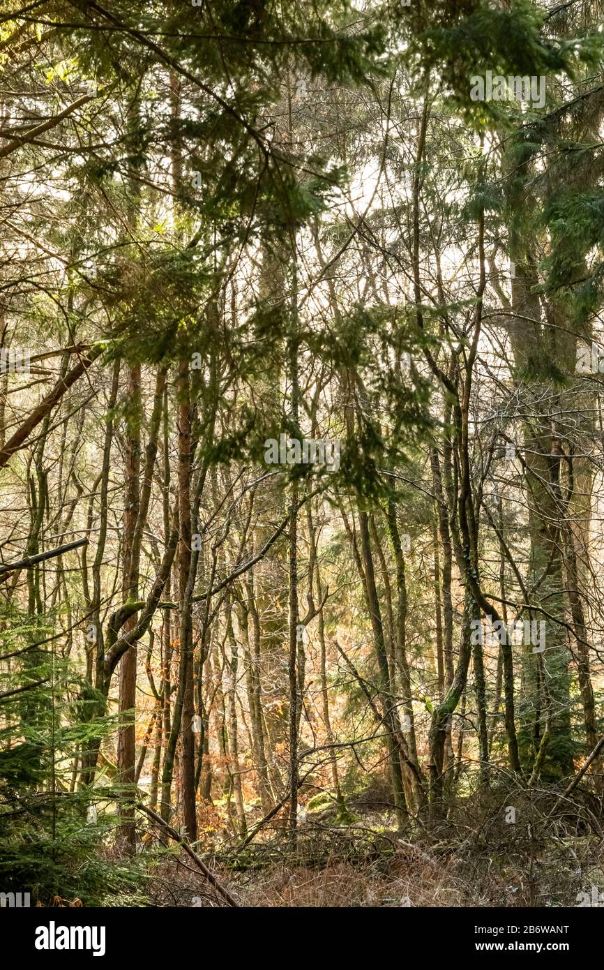 Three ponds valley hi-res stock photography and images - Alamy