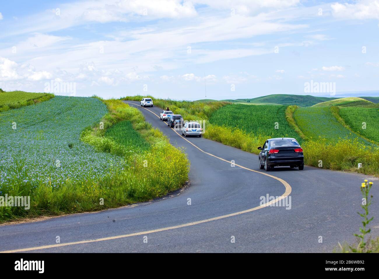 The asphalt road is on the prairie Stock Photo - Alamy