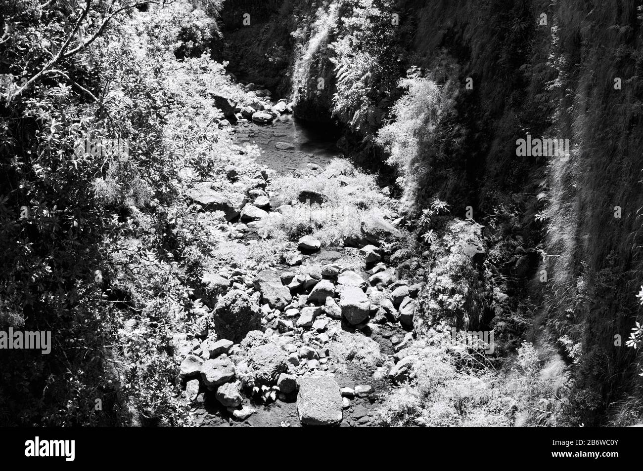 Typical water channel called 'Levada' in Madeira Island (Portugal ...