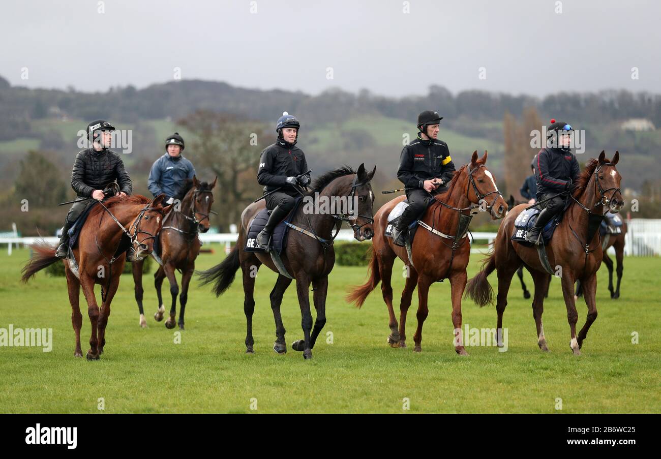 Horses from Gordon Elliott's stables on the gallops during day three of ...