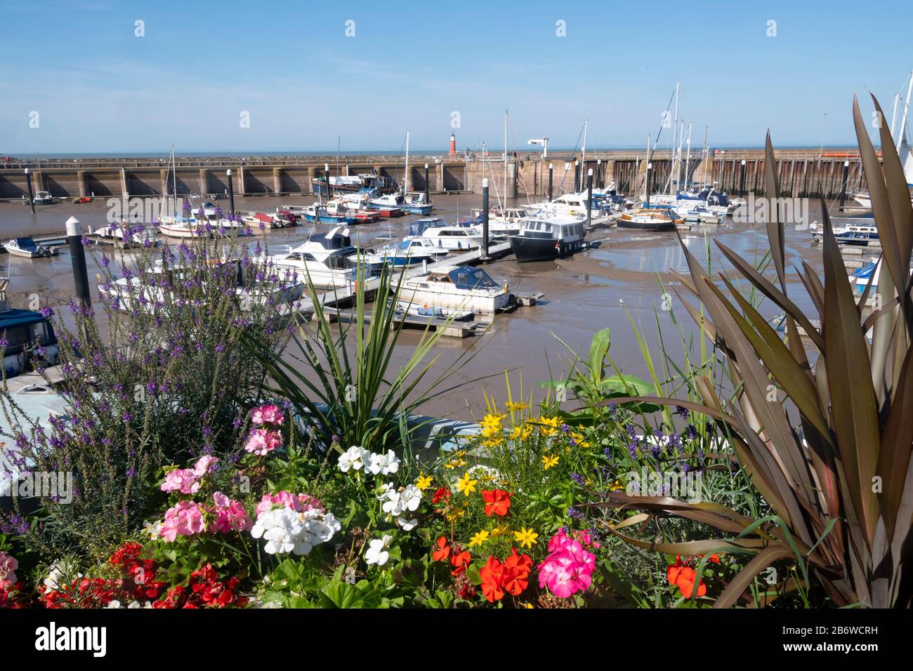 Flower beds in front of harbour at Watchet, Somerset, England Stock ...