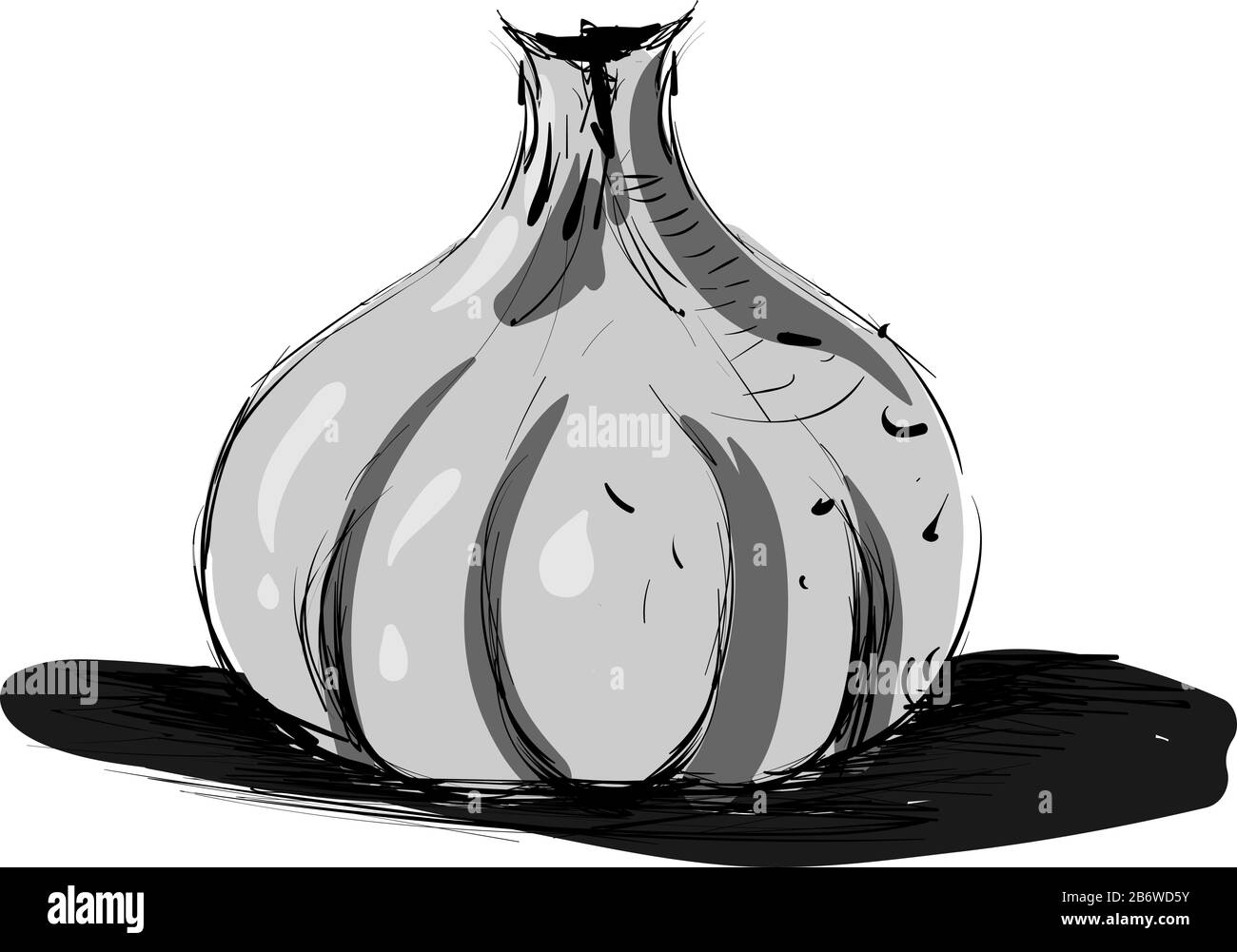 Garlic sketch, illustration, vector on white background Stock Vector ...