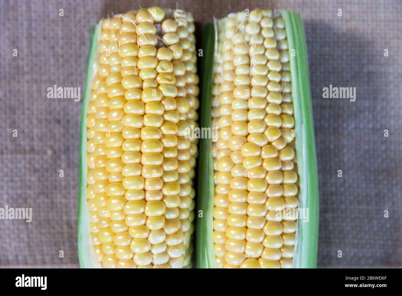 Fresh corn fruits with green leaves isolated .,An ear of corn isolated ...