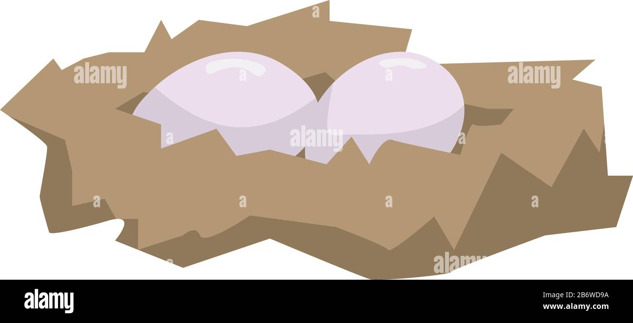 Nest with eggs, illustration, vector on white background Stock Vector ...