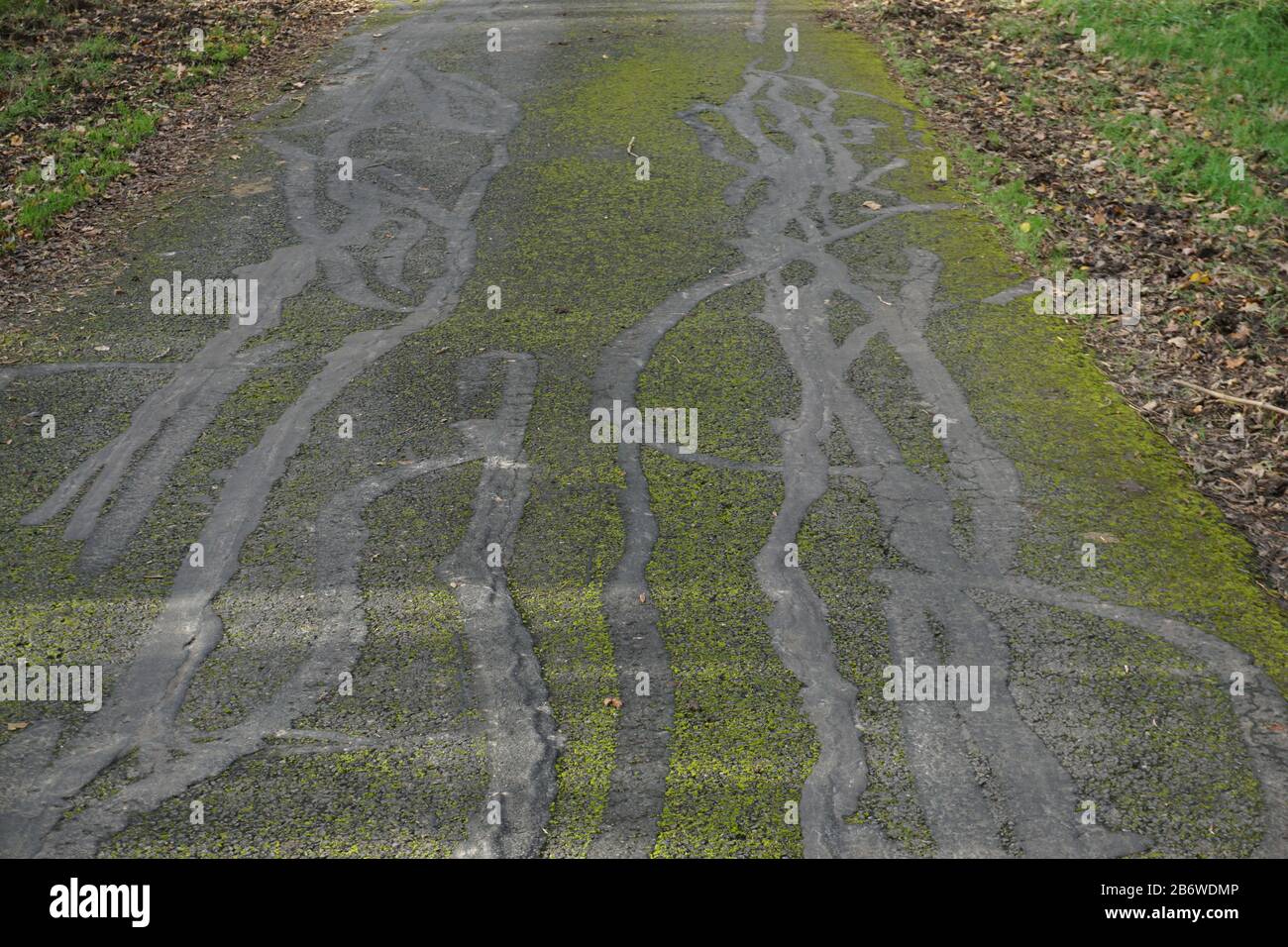 Repair road hi-res stock photography and images - Alamy