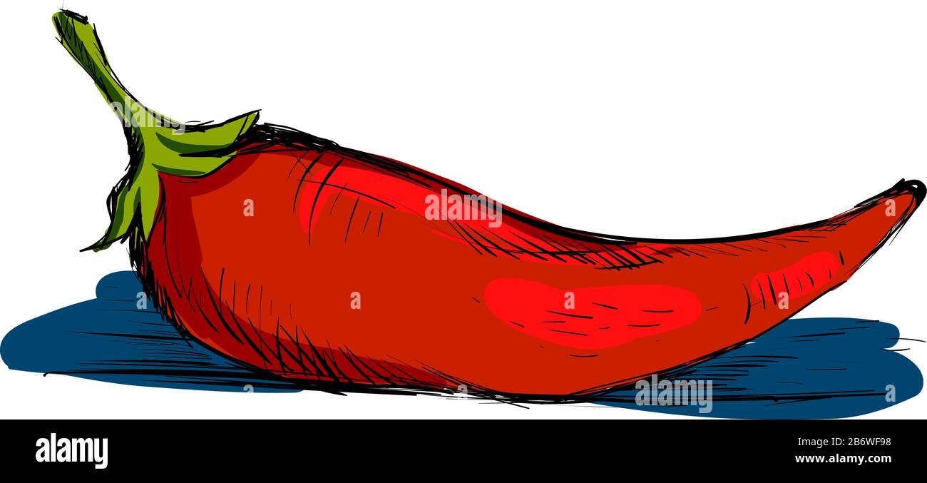 Hot pepper, illustration, vector on white background Stock Vector Image ...