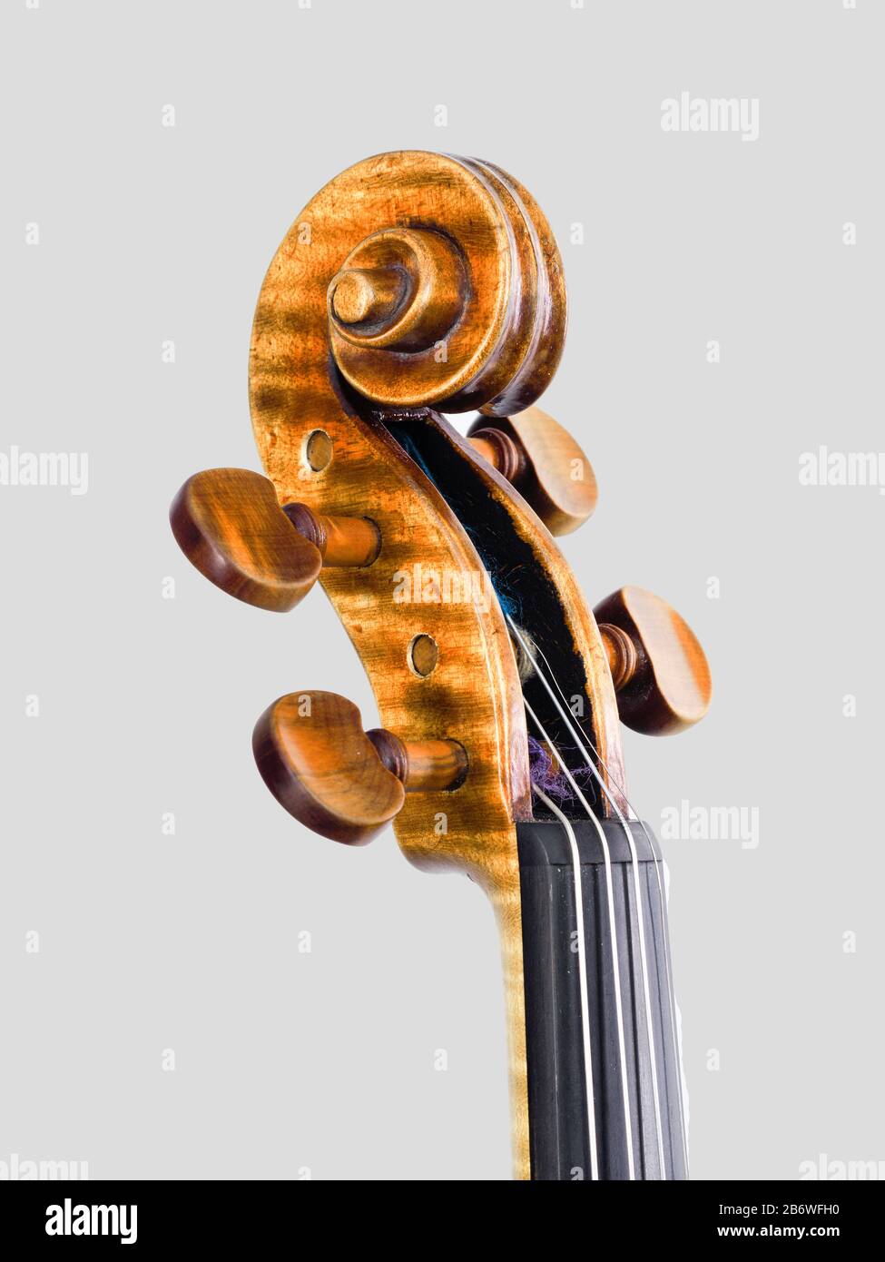 Violin stringed instrument studio photos Stock Photo - Alamy