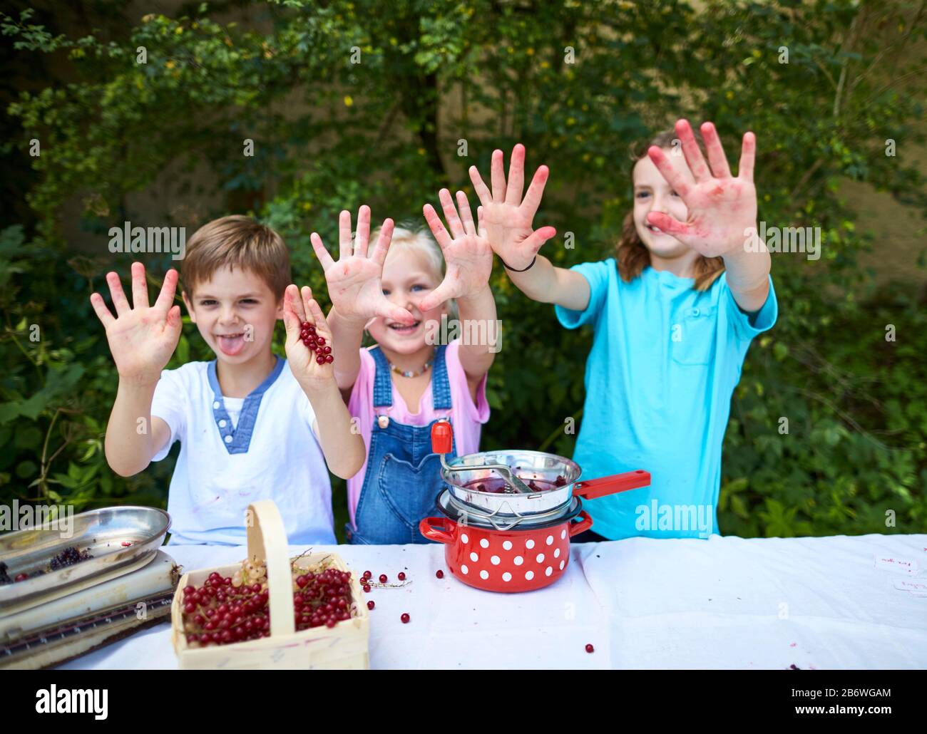 Children investigating food. Series: cooking jam. Mashing and sieving ...