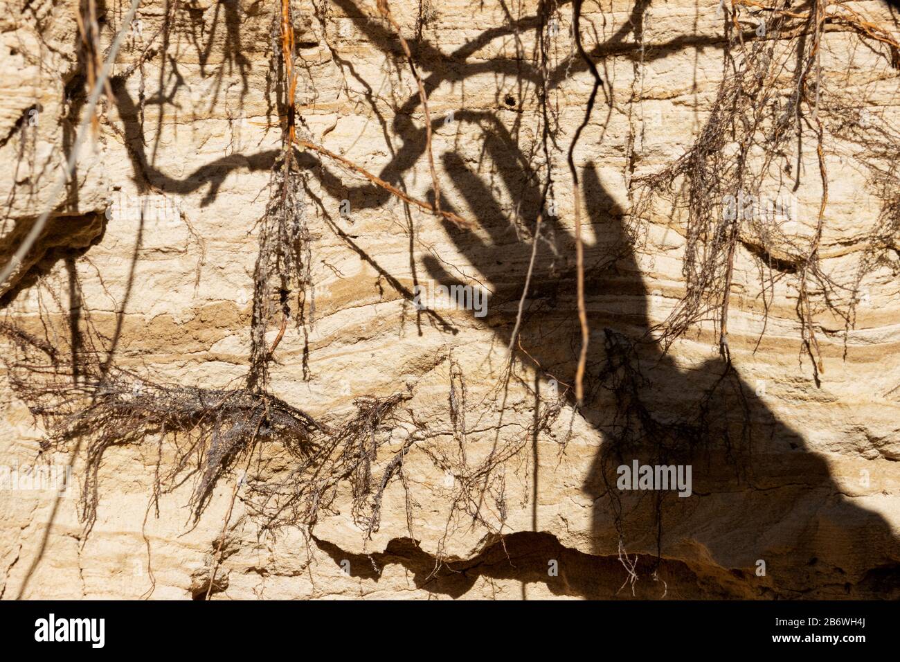 Human touch at the beach hi-res stock photography and images - Alamy