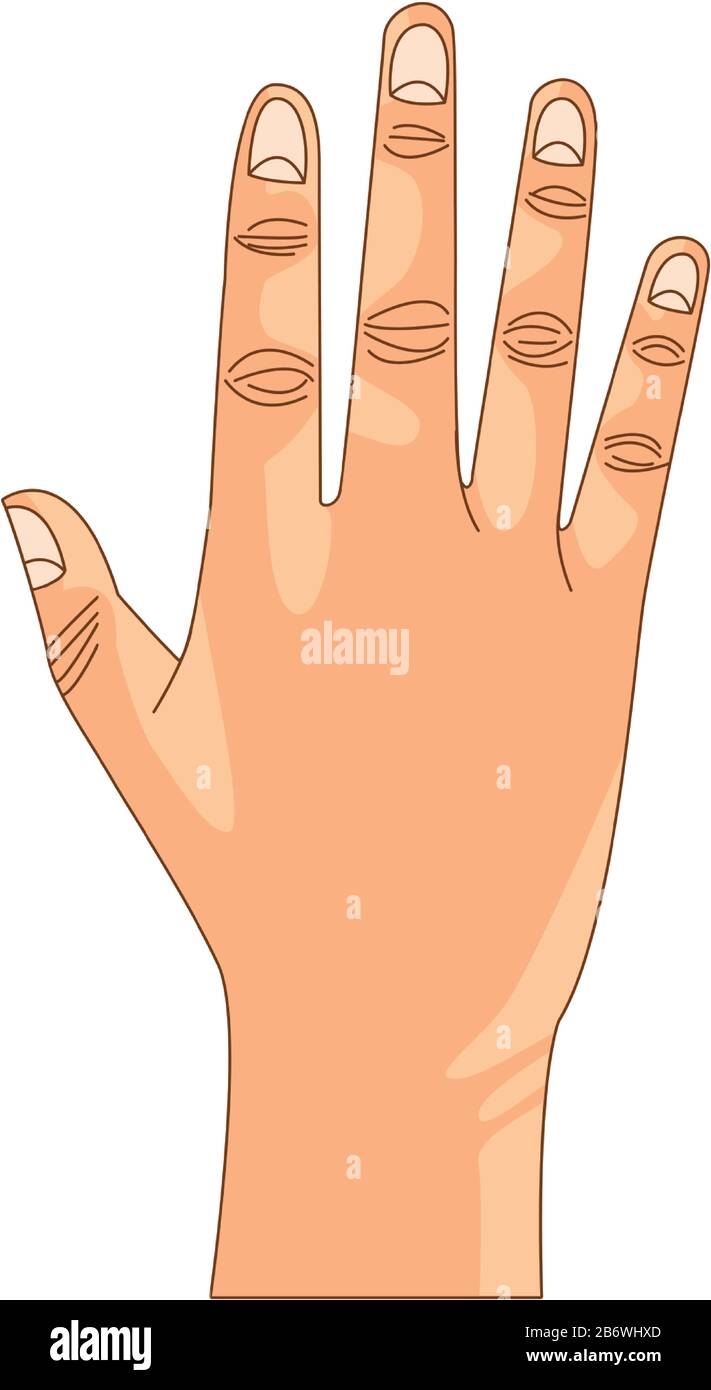 Hand with palm open stop isolated Stock Vector Image & Art - Alamy
