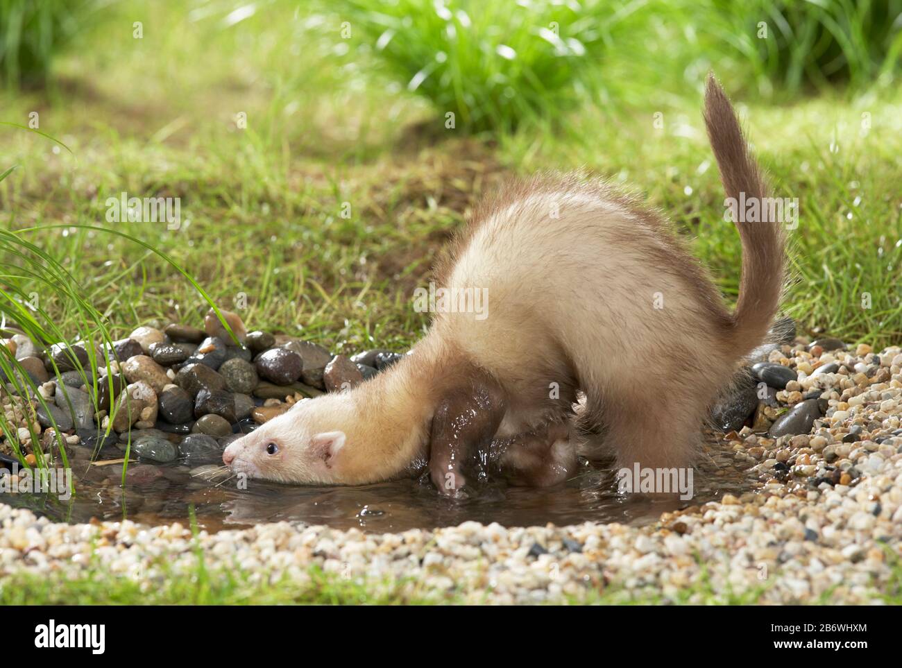 Furo bath hi-res stock photography and images - Alamy