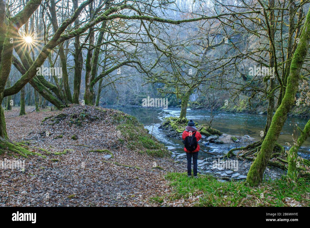 France, Creuse, Creuse valley, Fresselines, hiker on the banks of the ...