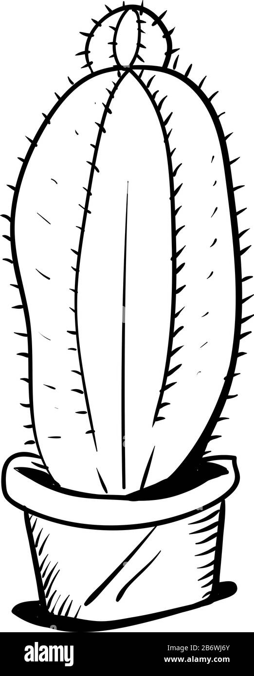 On plant pot Black and White Stock Photos & Images - Alamy