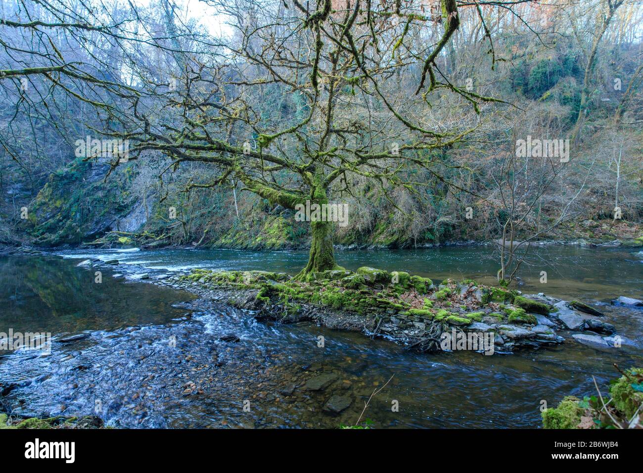 France, Creuse, Creuse valley, Fresselines, riverbank of the Petite ...
