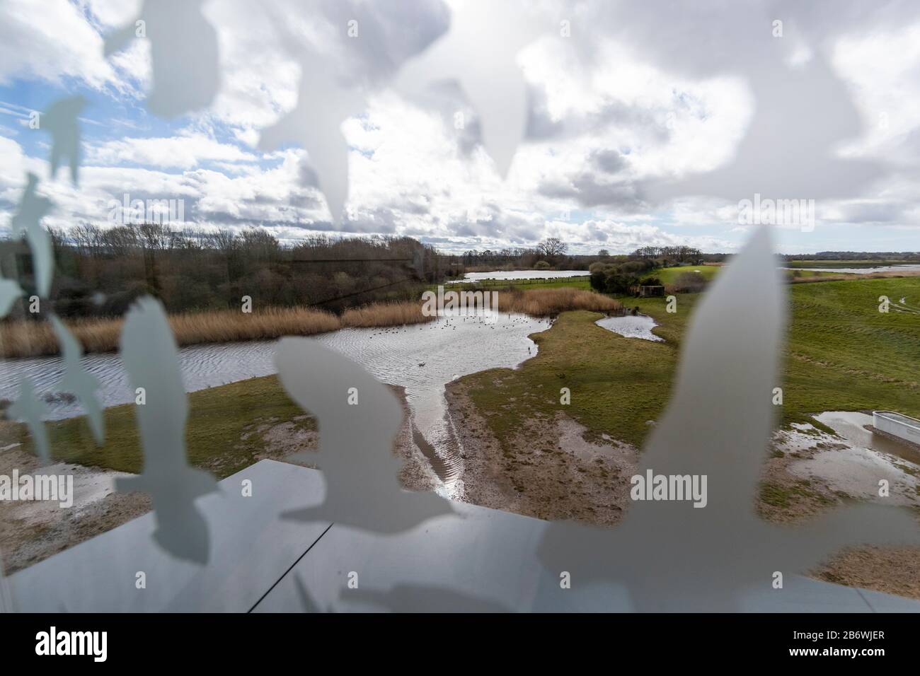 Estuary tower hide slimbridge hi-res stock photography and images - Alamy
