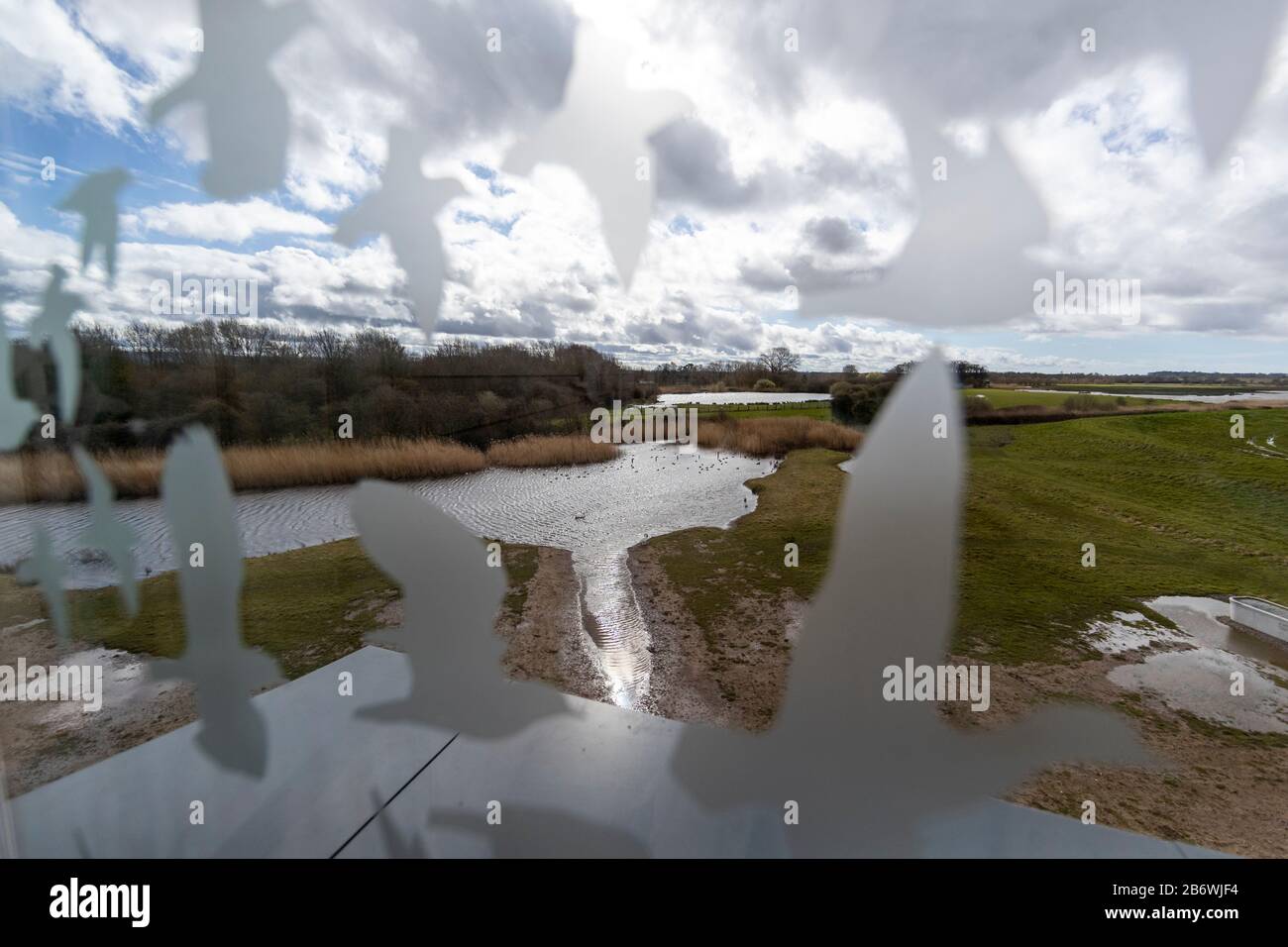 Estuary tower hide slimbridge hi-res stock photography and images - Alamy