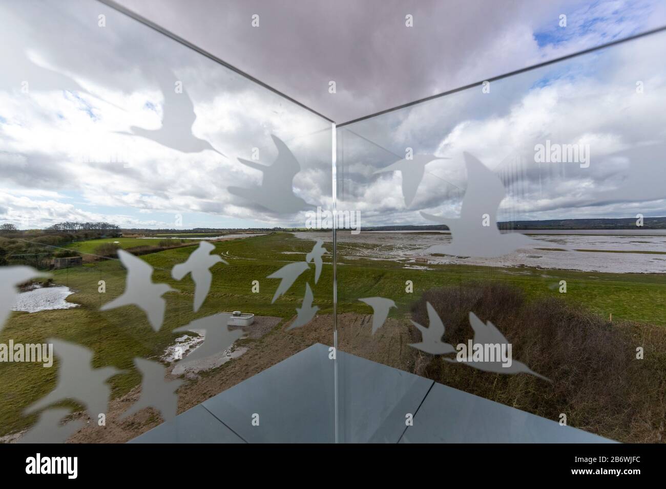 Artist and naturalist sir peter scott hi-res stock photography and images - Alamy